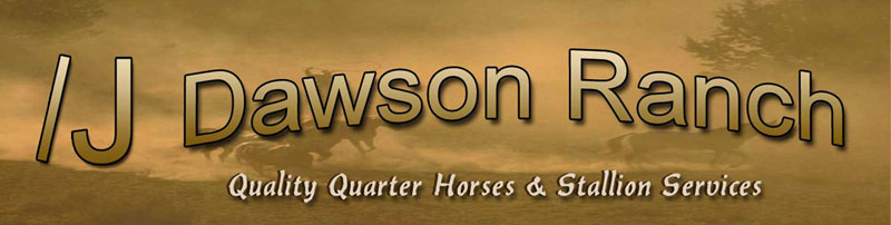 Stallions J Dawson Ranch Dickens Texas
